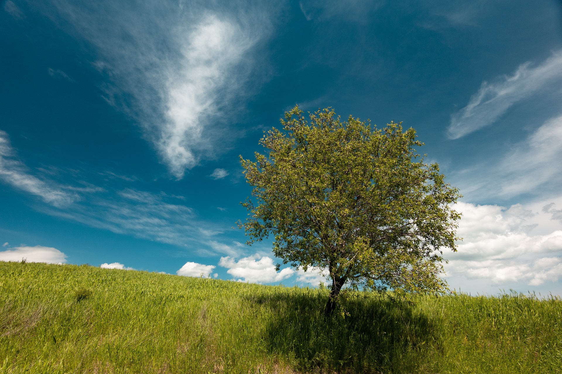 Gallery - Castelbottaccio, Italy